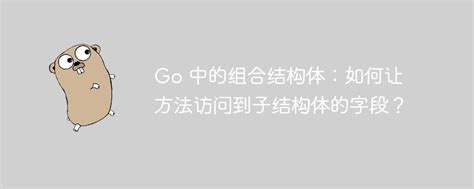 Go 中的组合结构体：如何让方法访问到子结构体的字段？ 美云