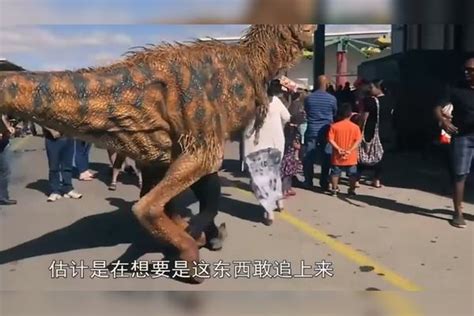 盘点全球最奇葩的恶作剧，连滚带爬滚出视线？路人哭着求放过