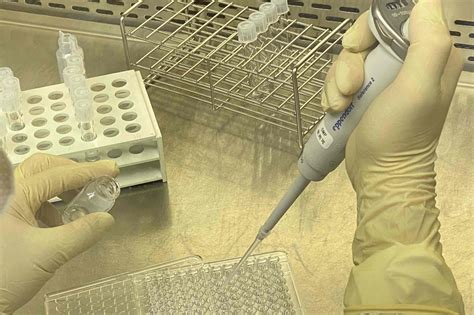 発熱性物質試験｜安全性試験・毒性試験受託研究機関 一般財団法人食品薬品安全センター