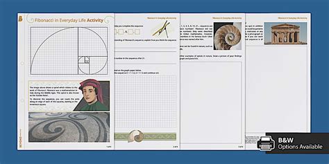 Fibonacci In Everyday Life Activity Teacher Made Twinkl