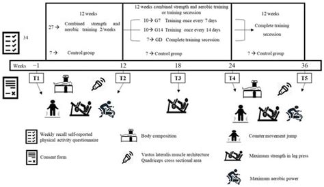 Effect Of Different Reduced Training Frequencies After 12 Weeks Of Concurrent Resistance And
