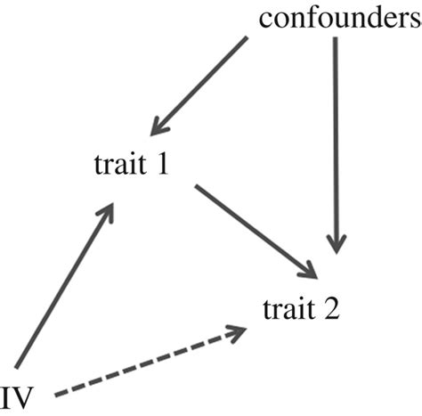 Directed Acyclic Graph Of The Mendelian Randomization Model Iv Download Scientific Diagram