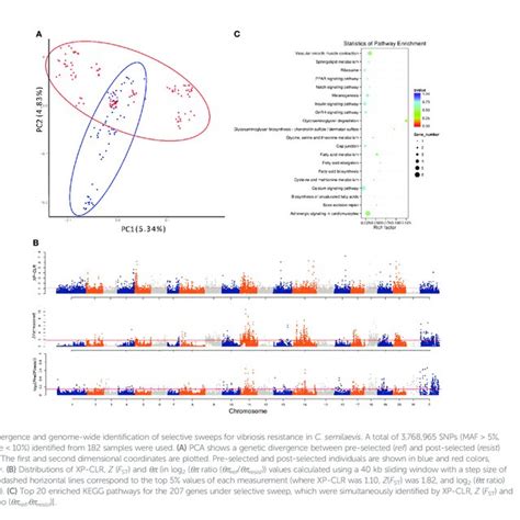 Ecm Receptor Interaction Has Strong Associations With Vibriosis Download Scientific Diagram