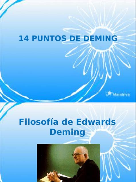 14 Principios De Deming Pdf Calidad Comercial Business