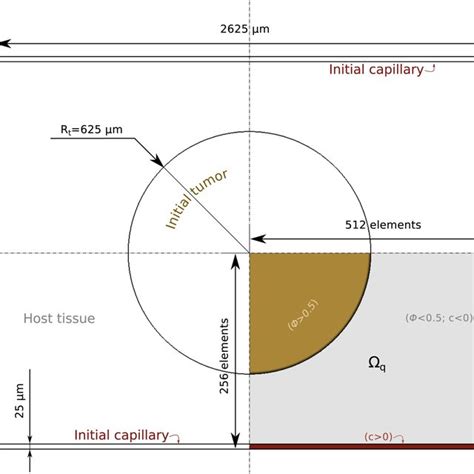 Problem Setup The Domain Of The Problem Represents A Rectangular