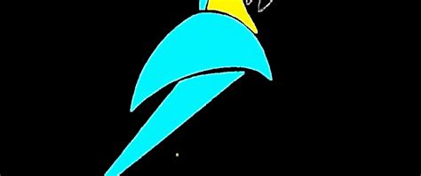 Introducing The Macaw Framework A Simple Evolving Ruby Web Framework Dev Community