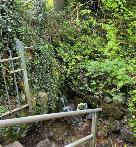 Whitwick Spring Find A Spring