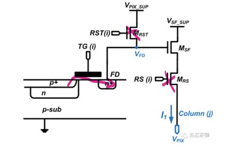 李飞飞高徒教你从0到1构建gpt，马斯克点赞 极术社区 连接开发者与智能计算生态