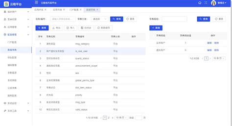 数据字典 · 云程低代码平台