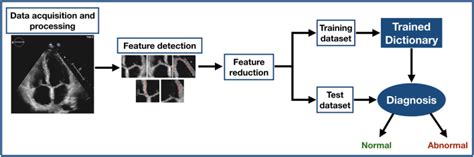 Artificial Intelligence And Echocardiography Pmc