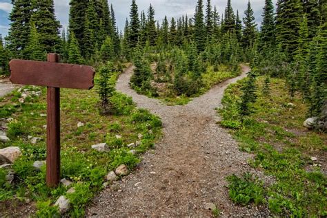 trailhead technology partners on linkedin webdevelopment aspnet blazor
