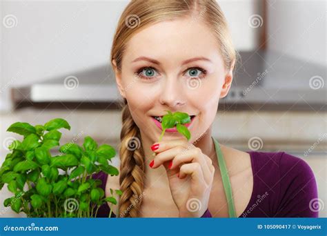 Woman In Kitchen With Green Fresh Basil In Pot Stock Image Image Of
