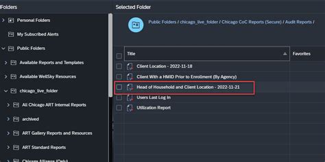 Lsa Head Of Household And Client Location Businessobjects Report Helpdesk Homeless