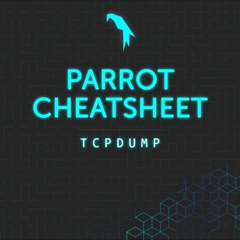 parrot security on twitter learn how to explore the depths of network