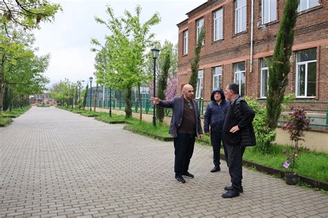 ხაშურის 🌳ქალაქ ხაშურში ყაზბეგის ქუჩაზე რამდენიმე ათეული წითელი ნეკერჩხალი ირგვება „ჩვენი