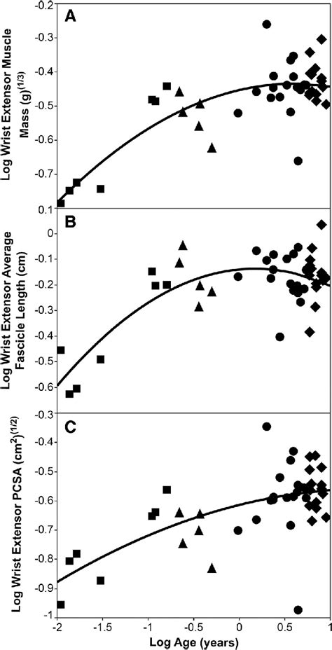 Quadratic Curvilinear Regression Of Age And The Wrist Extensors Download Scientific Diagram