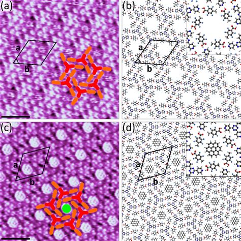 Liquid Solid Interfaces Costantini Lab