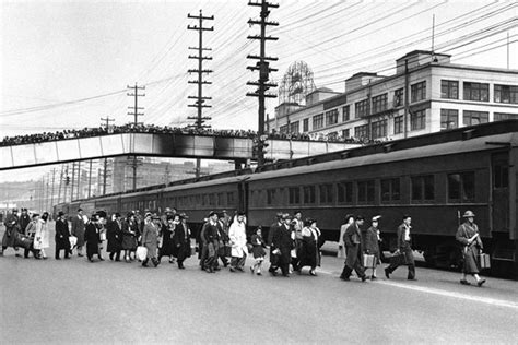 ژاپنی های آمریکا در جنگ جهانی دوم تستچی