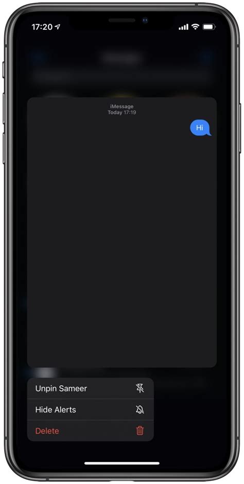 IOS 14 Lets You Pin Conversations At The Top In Messages App IOS Hacker