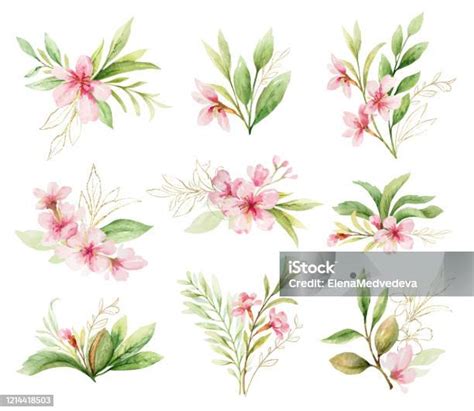 분홍색 꽃과 잎의 꽃다발의 수채화 벡터 세트입니다 인사말 카드 결혼식 초대장 스크랩 북 포스터 등을위한 꽃 손으로 그린 그림 꽃 식물에 대한 스톡 벡터 아트 및 기타 이미지