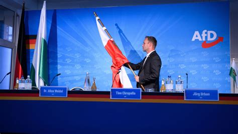 Згодна софтверска грешка на изборима у Немачкој АфД у посланик мање Зеленима једно место