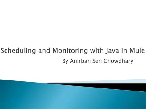 Scheduling And Monitoring With Java In Mule Ppt