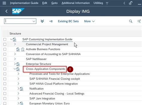 How To Activate Synchronization Options In Sap
