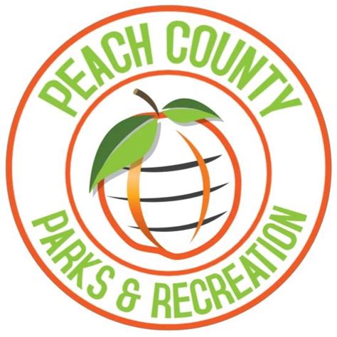 Peach County Board Of Commissioners Work Session July 1 2025 By Peach County Government