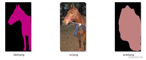 【论文阅读】fully Convolutional Networks For Semantic Segmentation Fcn阅读、理解和