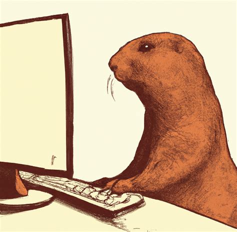 advanced go webassembly exploring the go standard library s wasm
