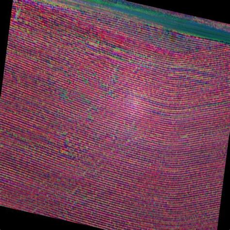 Francescocotton Plant Disease · Datasets At Hugging Face