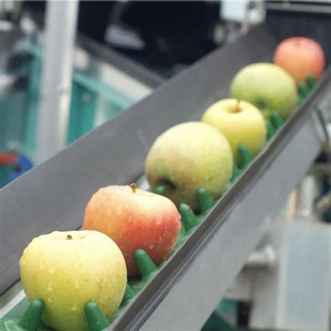 Real Time Apple Sorting System Download Scientific Diagram