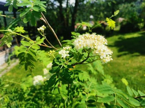 Maša Orel On Linkedin Missing My Boy Jari 3 Years Ago Today He Left This Earth He Was