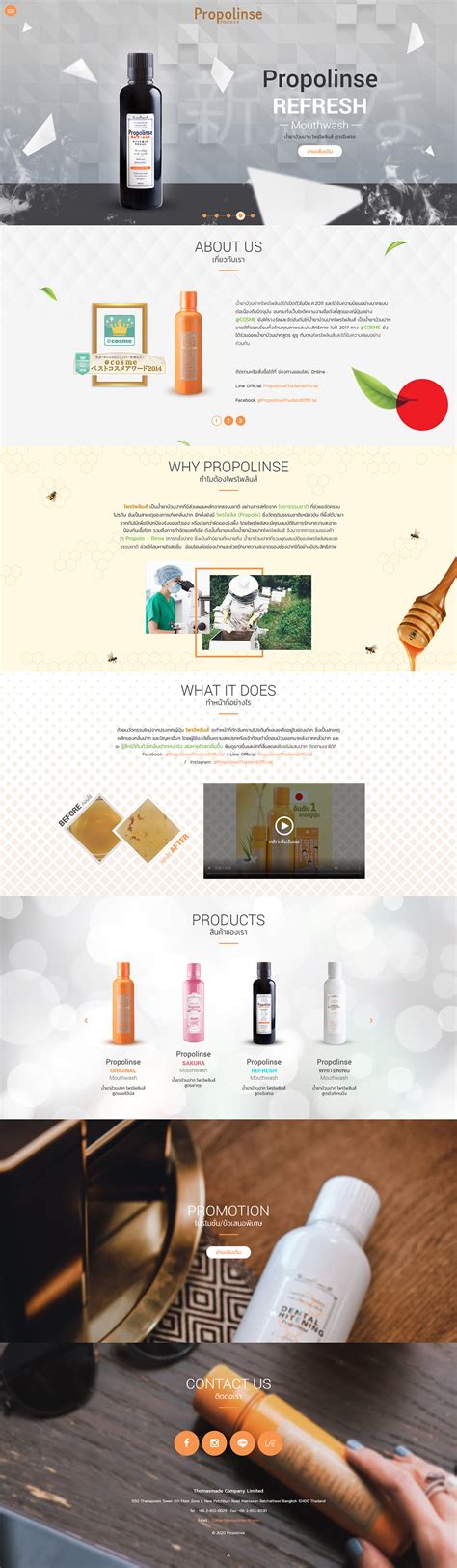 PUBLISH IDEA - บริษัทรับออกแบบเว็บไซต์ รับทำเว็บไซต์นำเสนอสินค้า