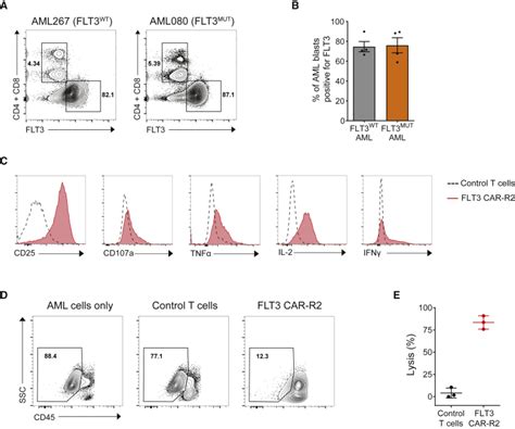 Allogeneic Flt3 Car T Cells With An Off Switch Exhibit Potent Activity Against Aml And Can Be