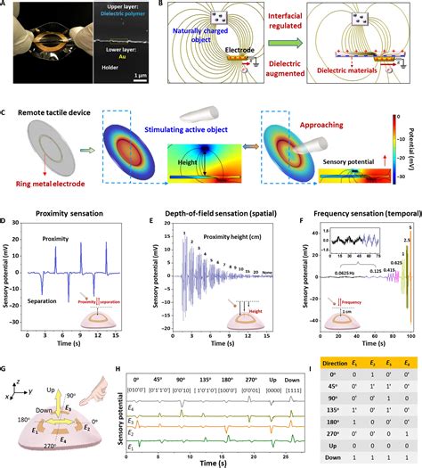 An Artificial Remote Tactile Device With 3d Depth Of Field Sensation Science Advances