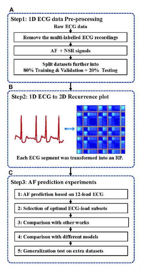 The Flow Chart Of The Automatic Af Prediction System Ecg Download Scientific Diagram