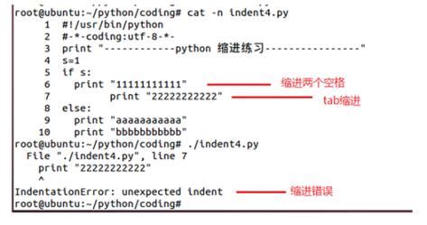 python语言中缩进说法 python缩进有什么作用 CSDN博客