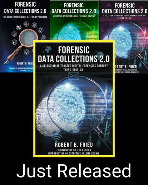 Digitalforensics Forensics Ediscovery Investigations Pi Robert