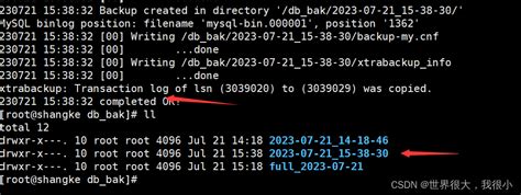 Centos7中mysql备份还原策略centos Mysql 恢复数据 Csdn博客