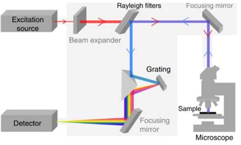 Figure 11 From Detection And Speciation Of Arcobacter Bacteria Using