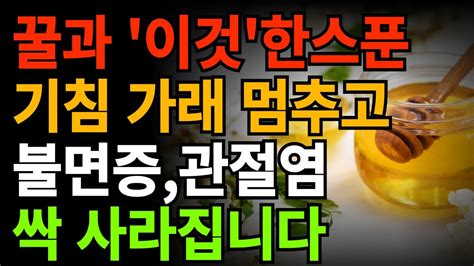 꿀과 이것 한스푼 기침가래 멈추고 불면증과 관절염 싹 사라집니다 Youtube