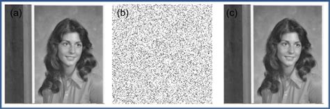 a orginal grayscale image u16 b encrypted image c decrypted