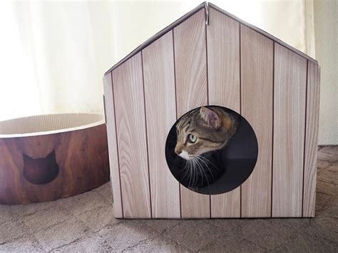 「犬は人につき、猫は家につく」から学ぶ、家を快適な場所にする方法【大切なことはすべて猫が教えてくれた】 猫はいろんなことを教えてくれる