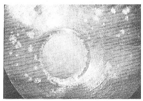 Figure 13 From The Freezing Of Supercooled Water Droplets Semantic Scholar