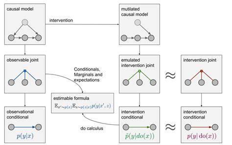 ml beyond curve fitting an intro to causal inference and do calculus