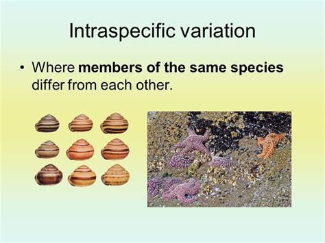 Variation Biology Definition Variation Biology Definition