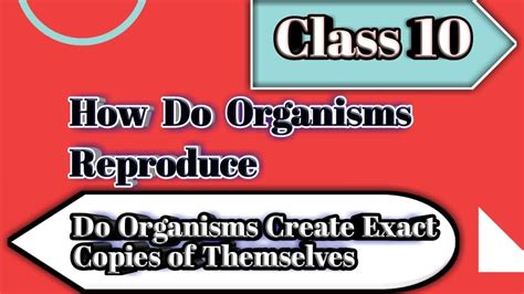 Do Organisms Create Exact Copies Of Themselves Class 10 Biology How