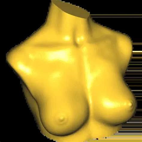 Boobies Booty NSFW By JimBum Download Free STL Model Printables Com