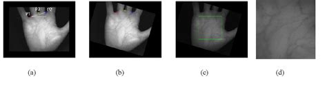 Figure 5 From A New Image Recognition Combining Transfer Learning Algorithm And Mobilenet V2